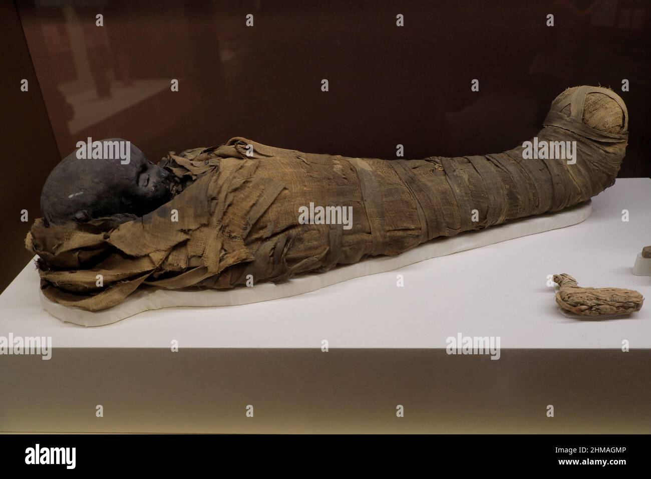 An Egyptian Child mummy from Greco-Roman period display in Penn Museum ...