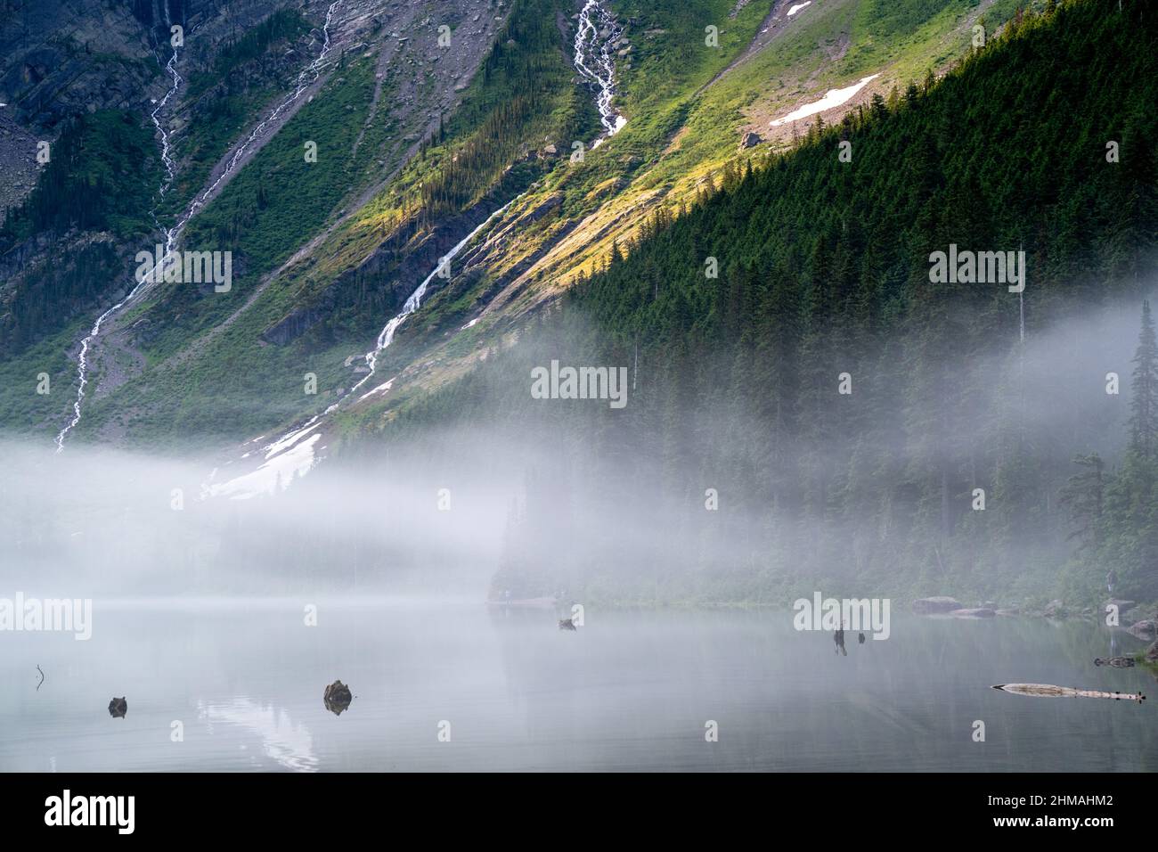 Extreme morning fog and mist on a summer day at Avalanche Lake in ...