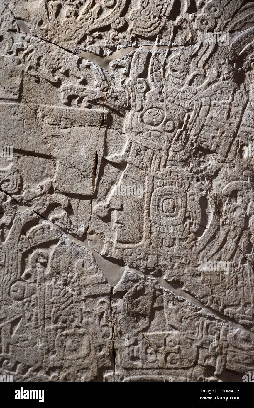 A closed up view showing the ruling Maya King on Caracol stela 5 ...
