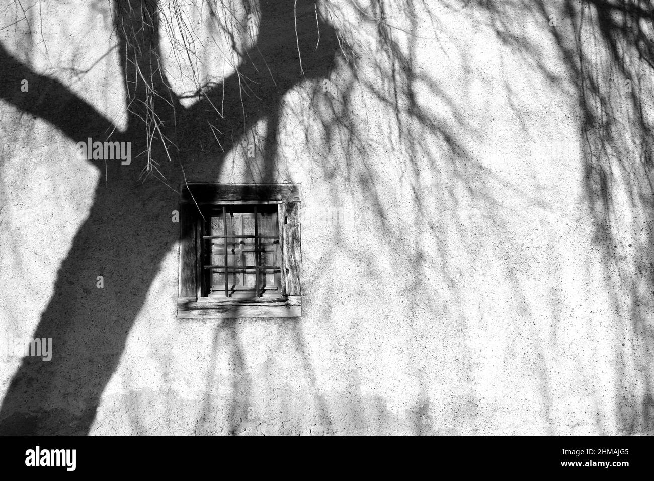Shadows from a willow trees falling on the outside wall of an enclosed ...