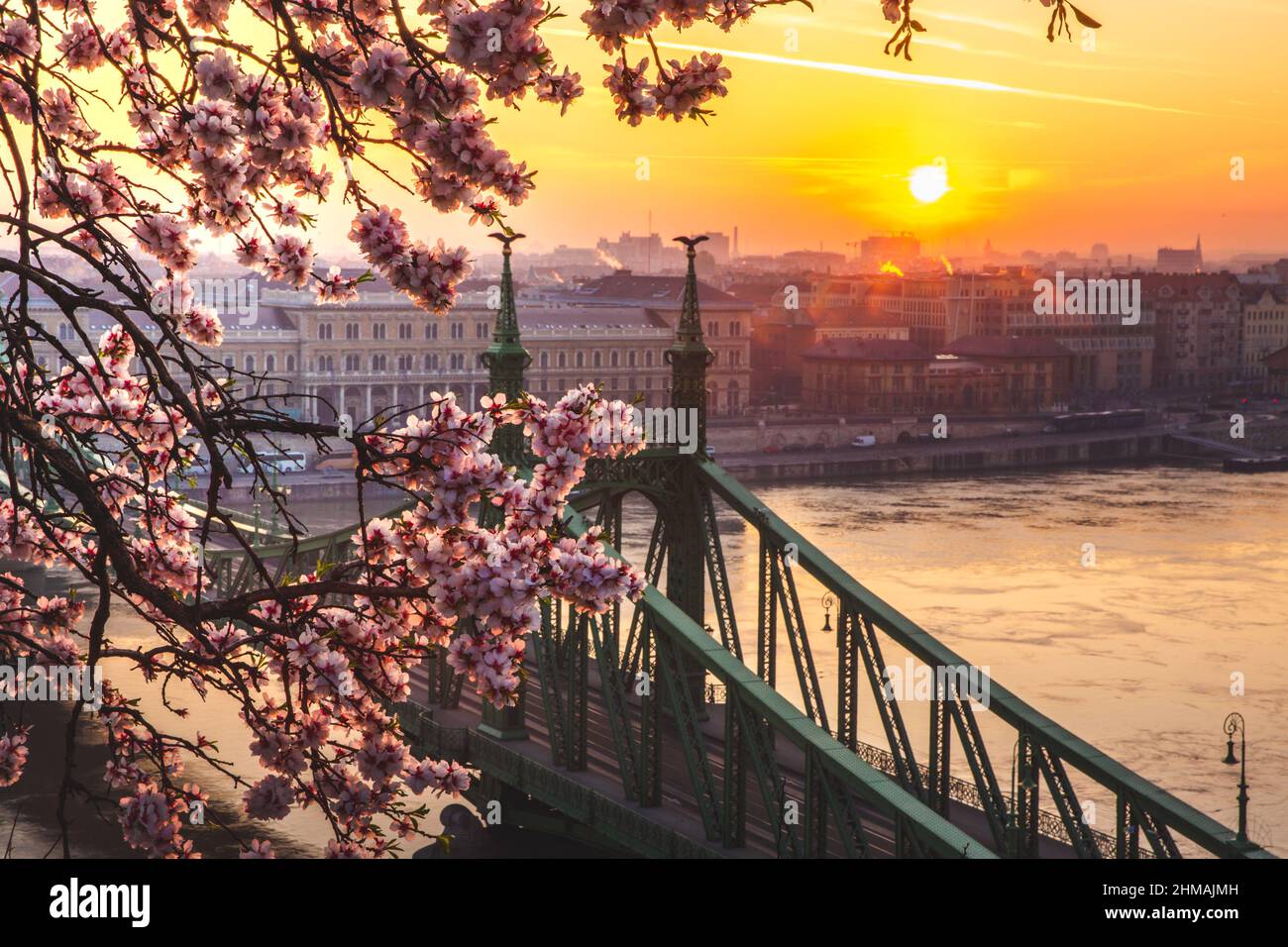 Beautiful Liberty Bridge at sunrise with cherry blossom in Budapest ...