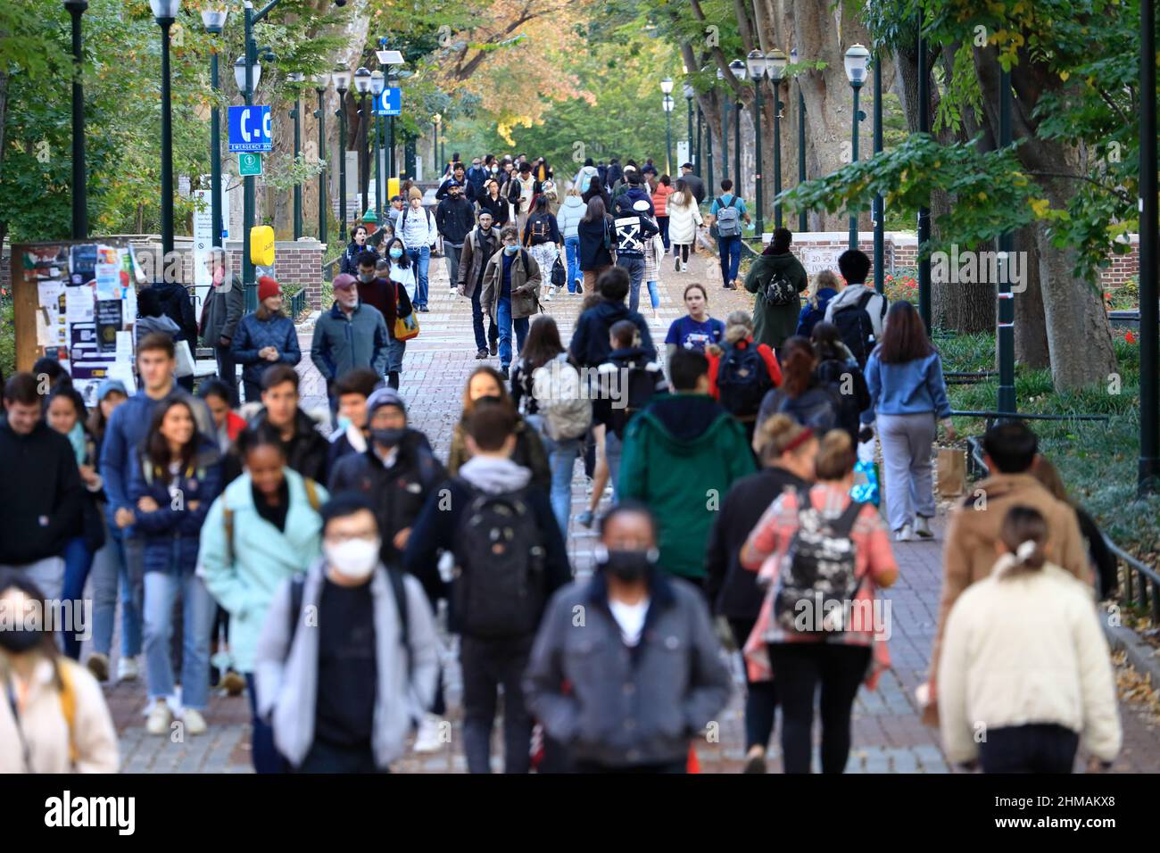 Locust walk university pennsylvania hi-res stock photography and images ...