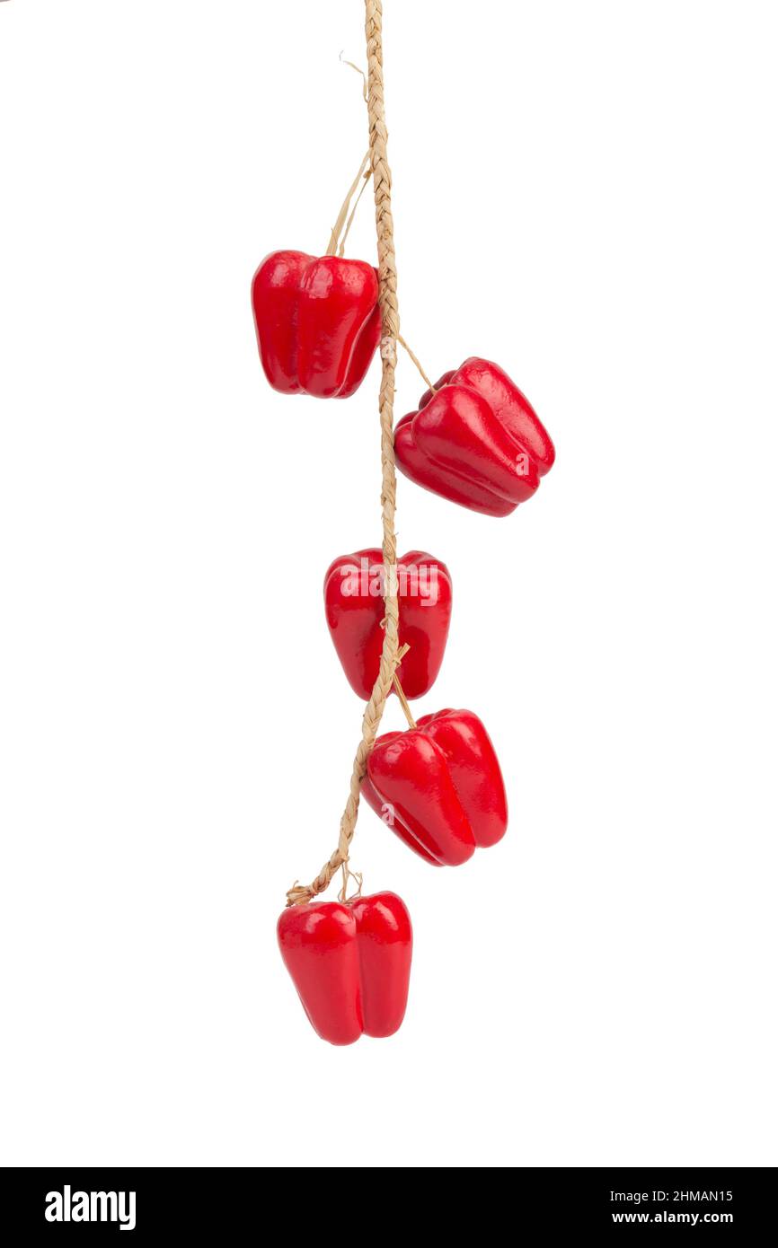 Artificial pepper is suspended on a jute rope. Isolated over white ...
