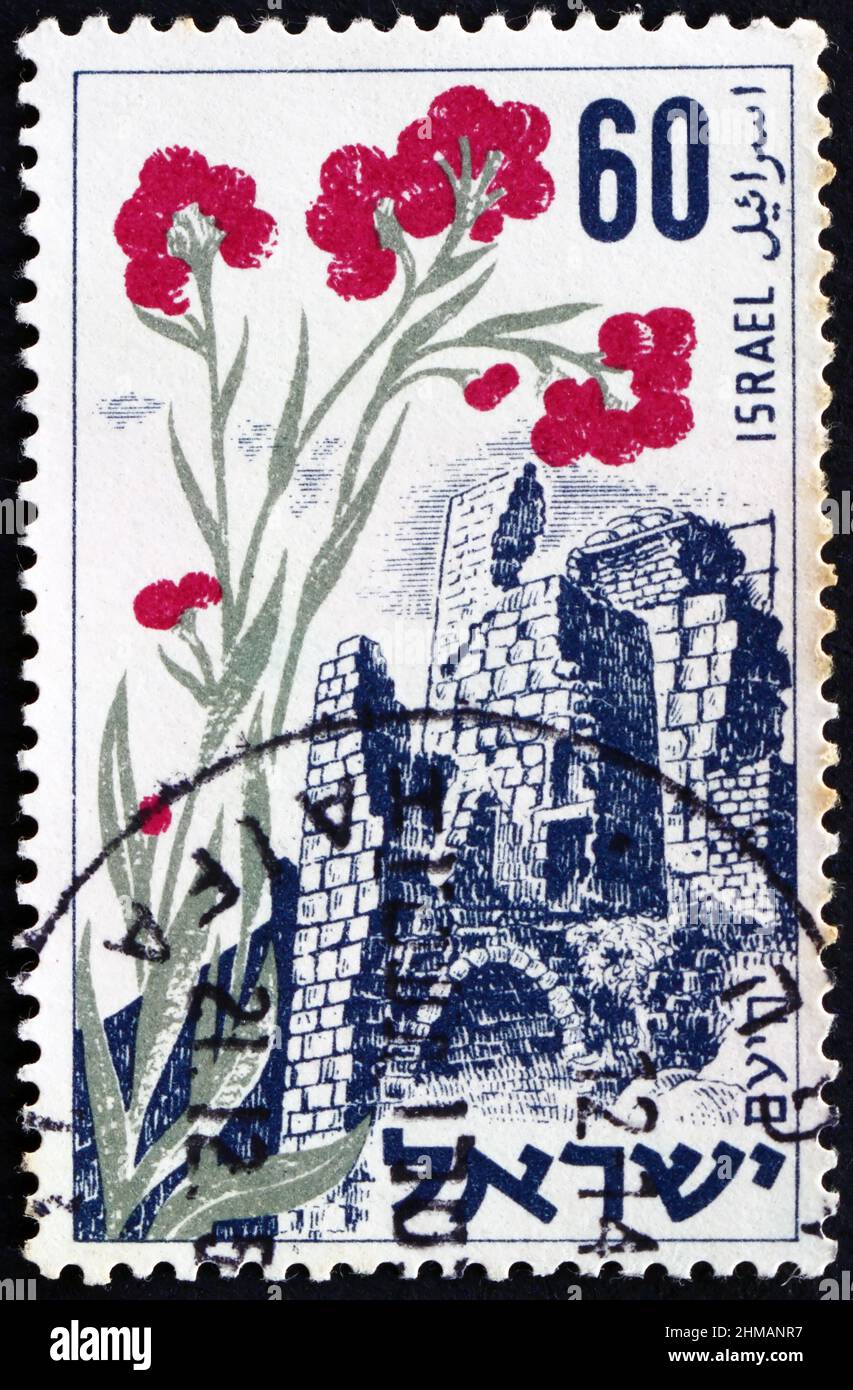 ISRAEL - CIRCA 1954: a stamp printed in Israel shows marigold and ruins ...