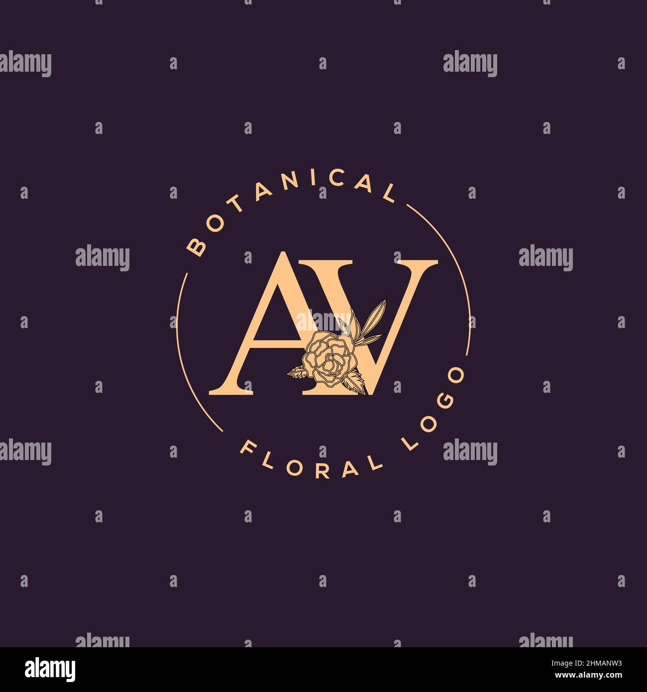 Initial AV letter luxury beauty flourishes ornament monogram logo Stock ...