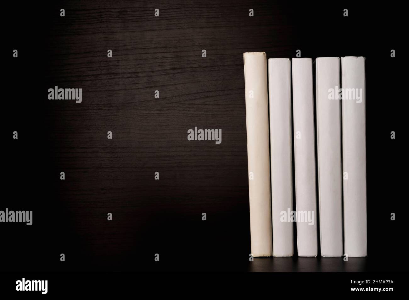 A row of white blank books on a shelf on a black background, free space ...