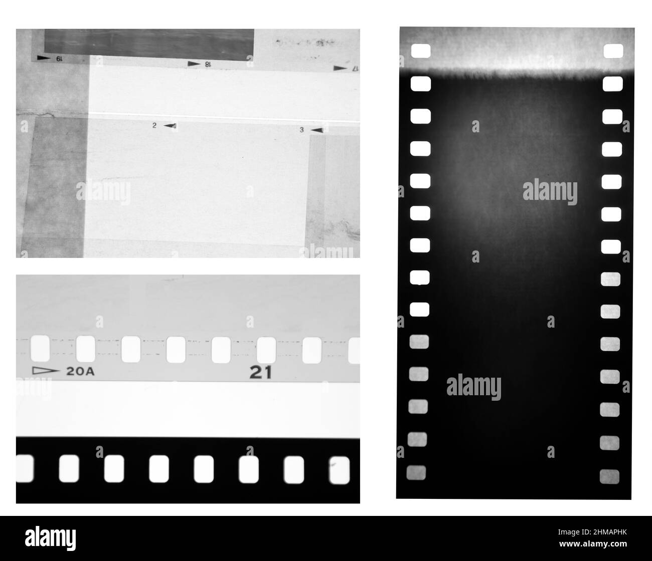 Film Negative White at Alyssa Geddes blog