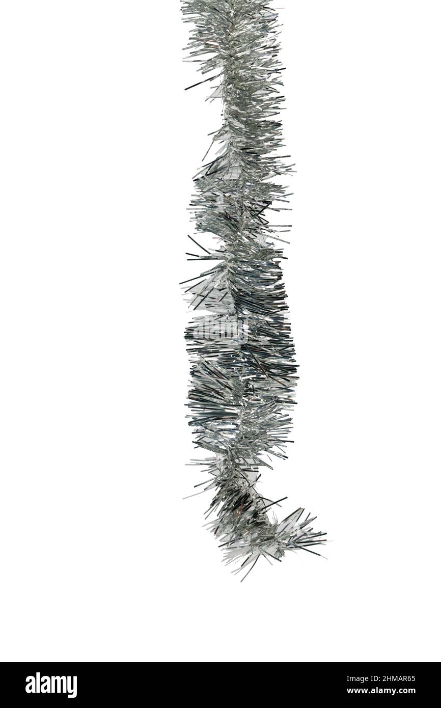 Silver tinsel fir pine hi-res stock photography and images - Alamy