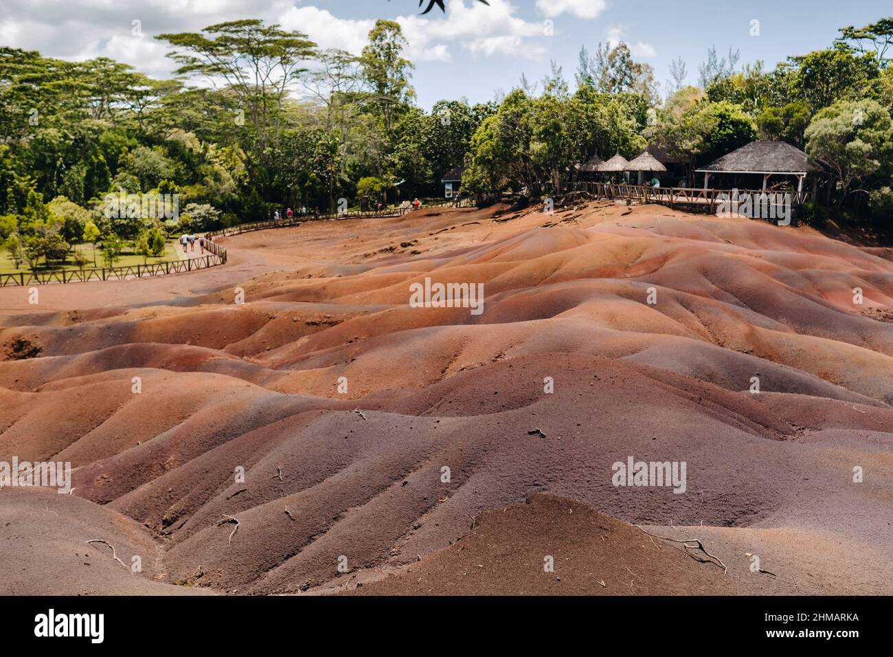 Seven colored earths in Mauritius, nature reserve, Chamarel. The green ...