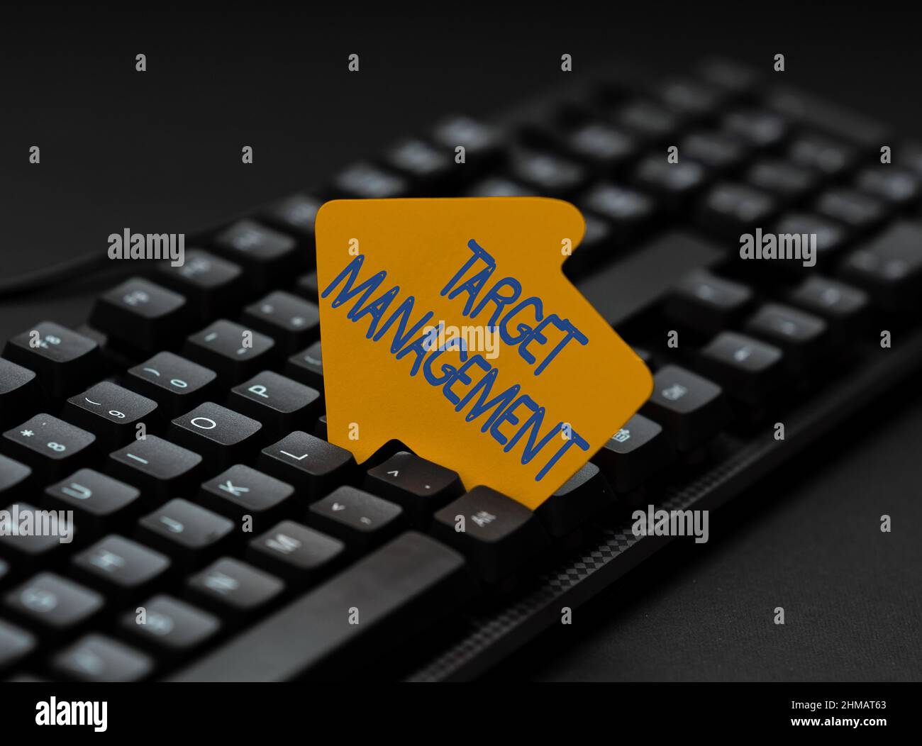 Text showing inspiration Target Management. Internet Concept nurturing ...