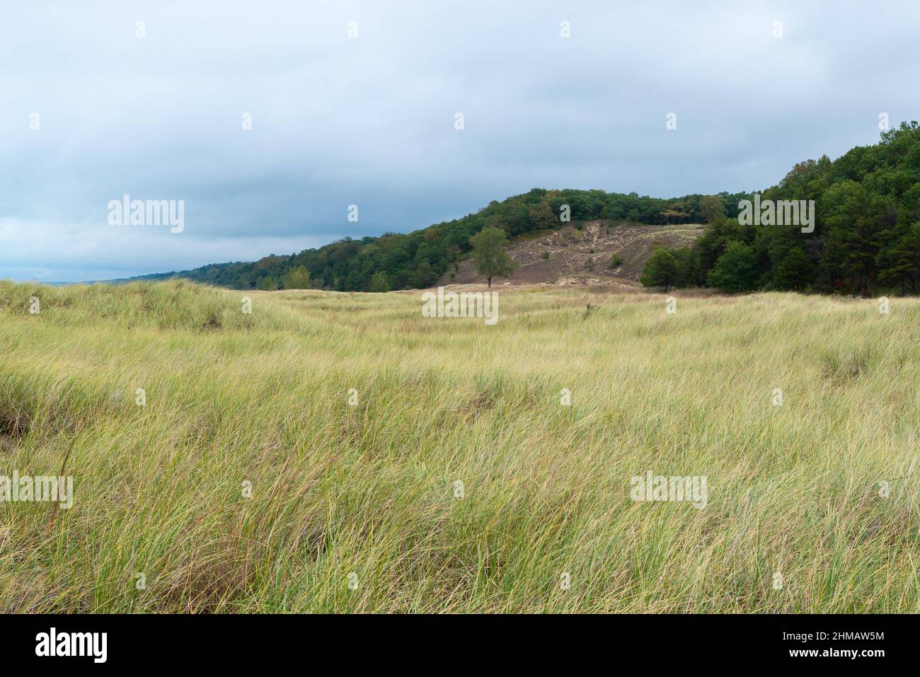 Landscape along the shoreline of Lake Michigan on a cloudy Fall morning ...