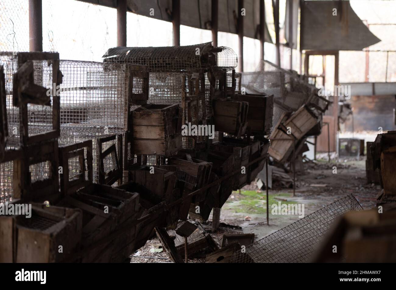 Cages and pens lie abandoned and decaying at the experimental fish and ...