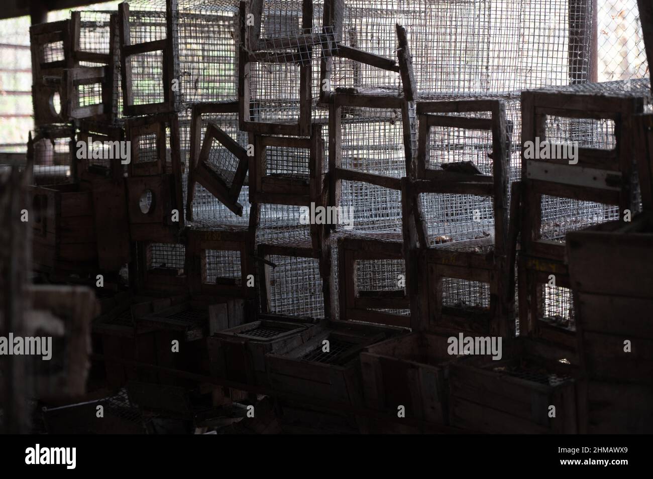 Cages and pens lie abandoned and decaying at the experimental fish and ...