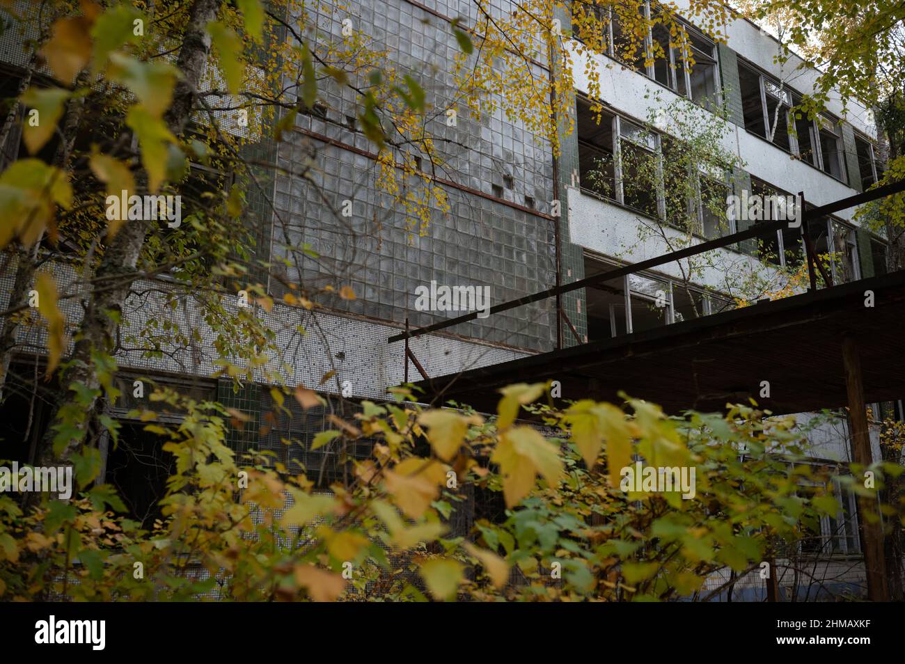 Educational material like books, furniture and posters abandoned in a ...