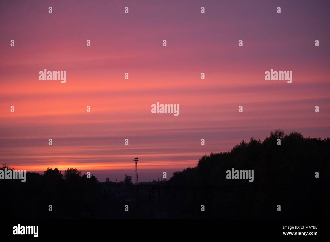 A vibrant sunset over the Red Forest and exclusion zone near the ...