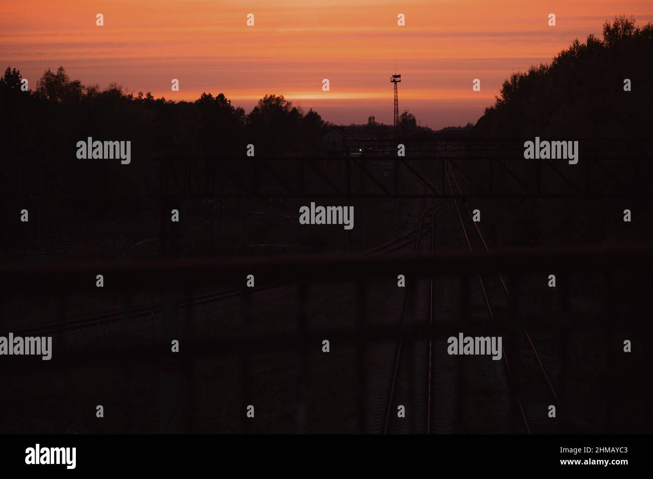 A vibrant sunset over the Red Forest and exclusion zone near the ...