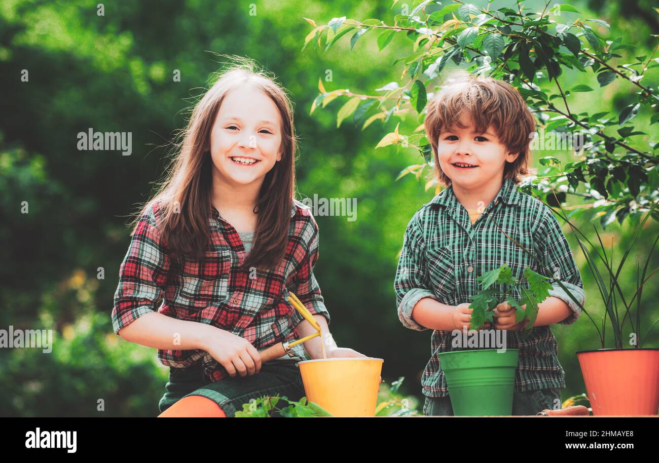 Two Happy children farmers working with spud on spring field. Happy ...