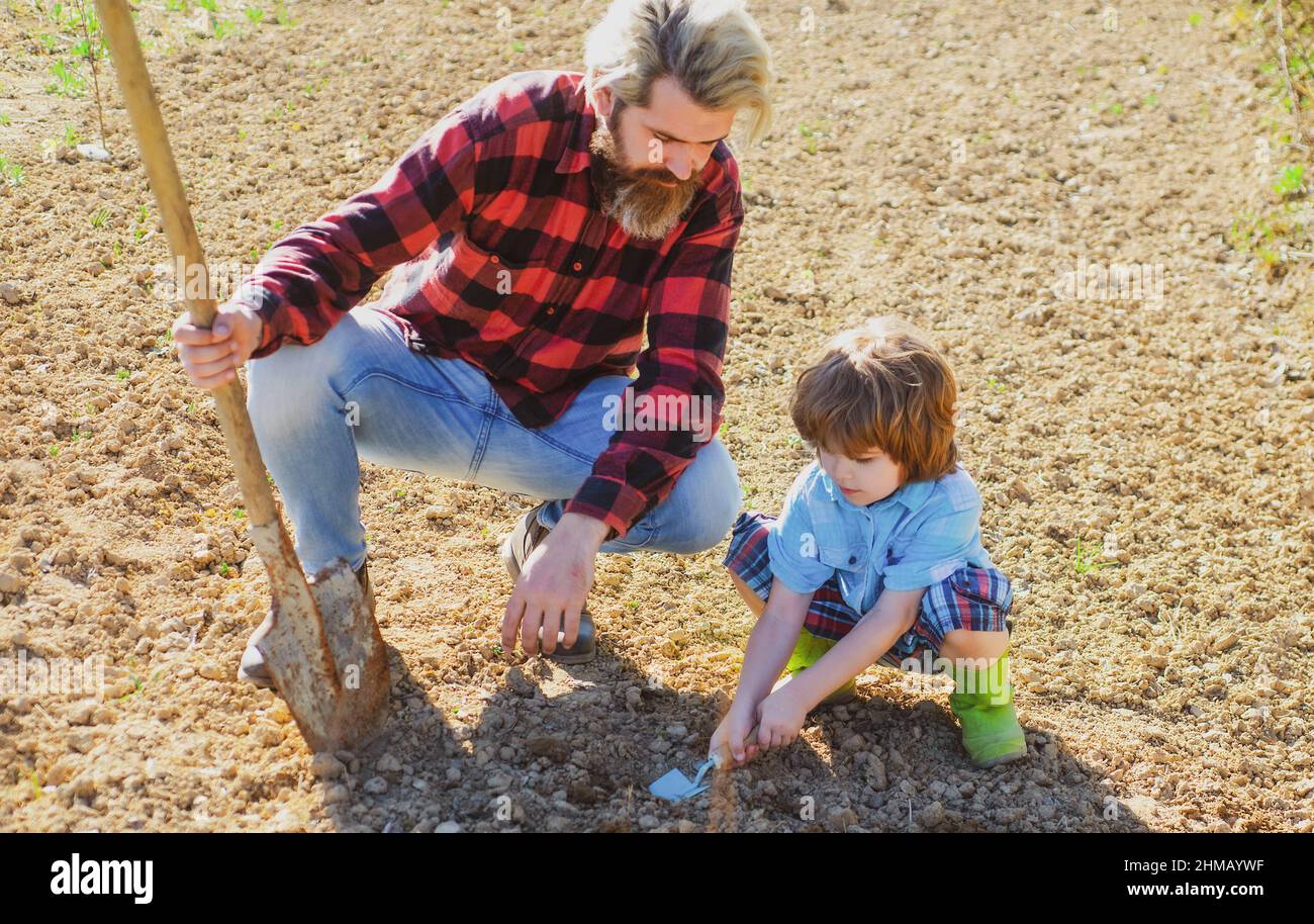 Father planting with son. Dad and kid gardening in garden ground ...