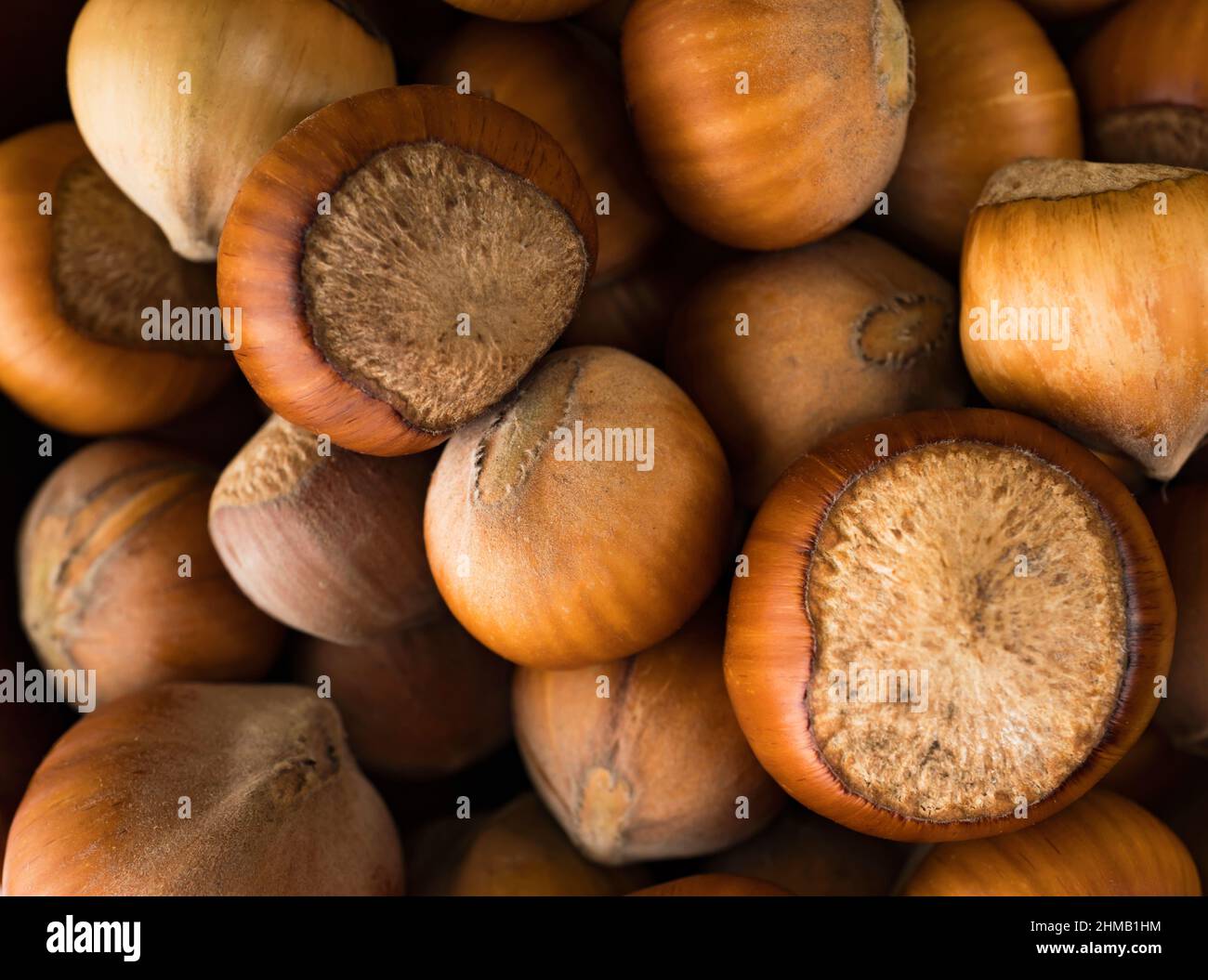 Hazelnut in shell hi-res stock photography and images - Alamy