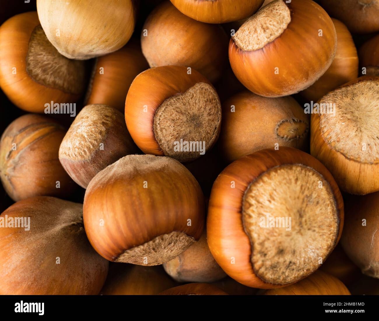 Hazelnut in shell hi-res stock photography and images - Alamy