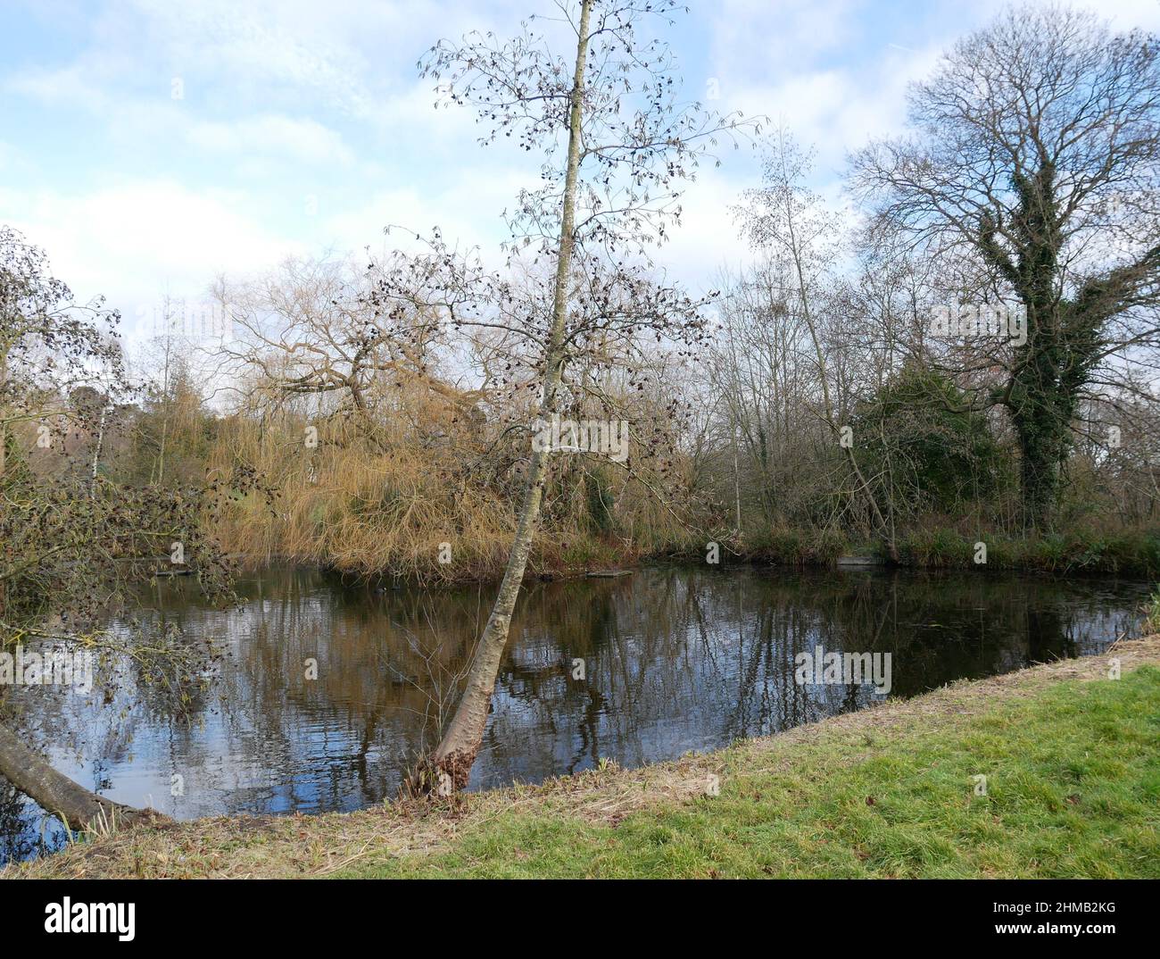 Wells Park, Sydenham, London Stock Photo - Alamy