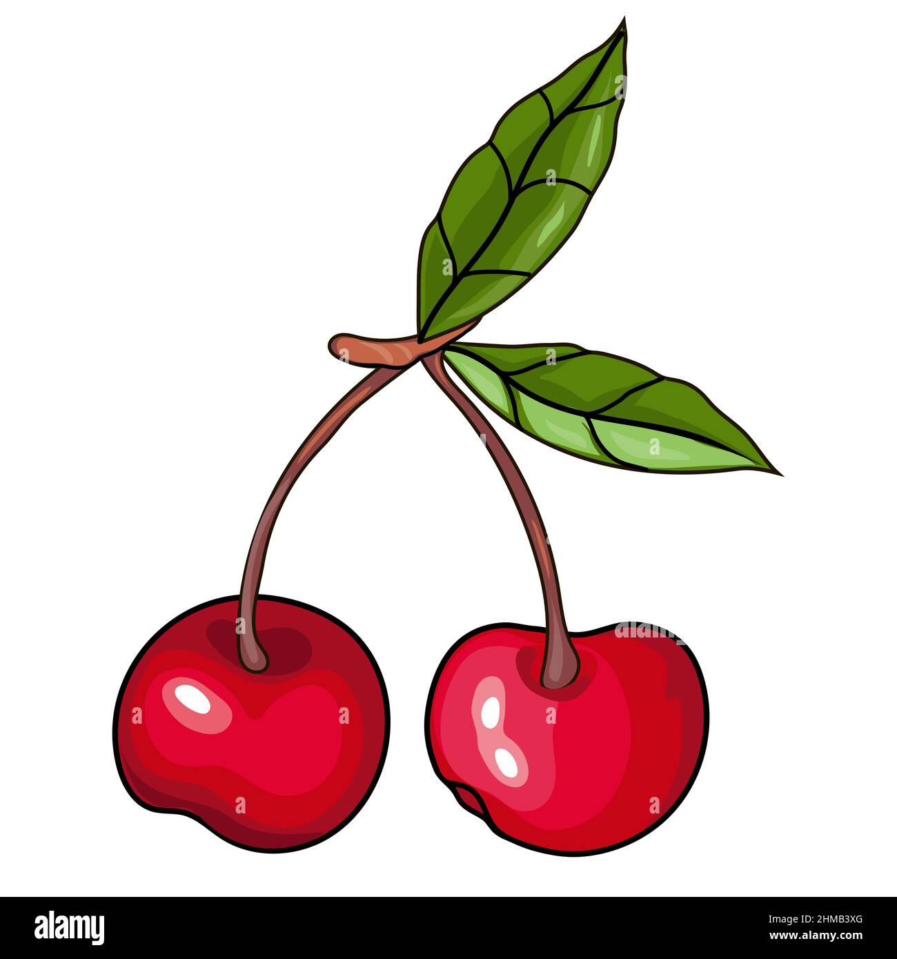 Cherry berry colorful hand drawing. Cherry hand drawn image for food ...