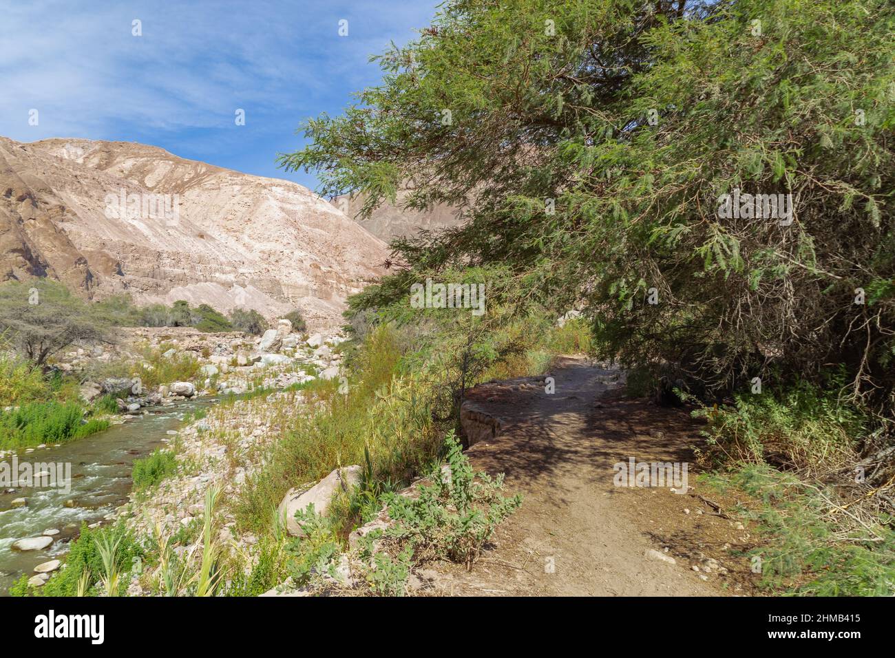 Valley scenery containing mountains, river and a path under a tree ...