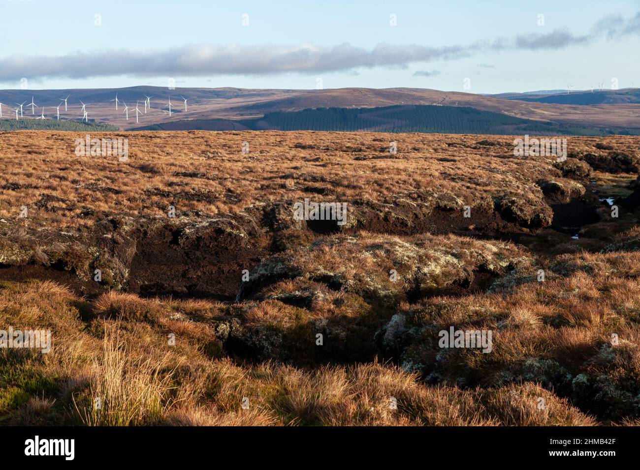 Upland Moorland near Moy, Scotland Stock Photo - Alamy