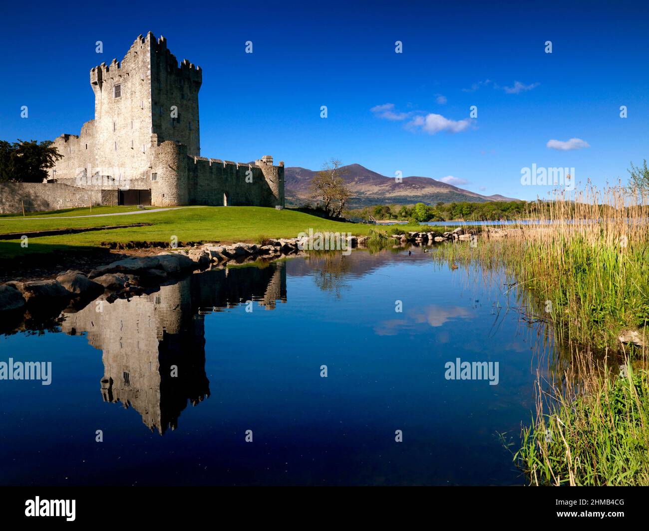 Ross Castle,Killarney National Park, County Kerry, Ireland Stock Photo ...