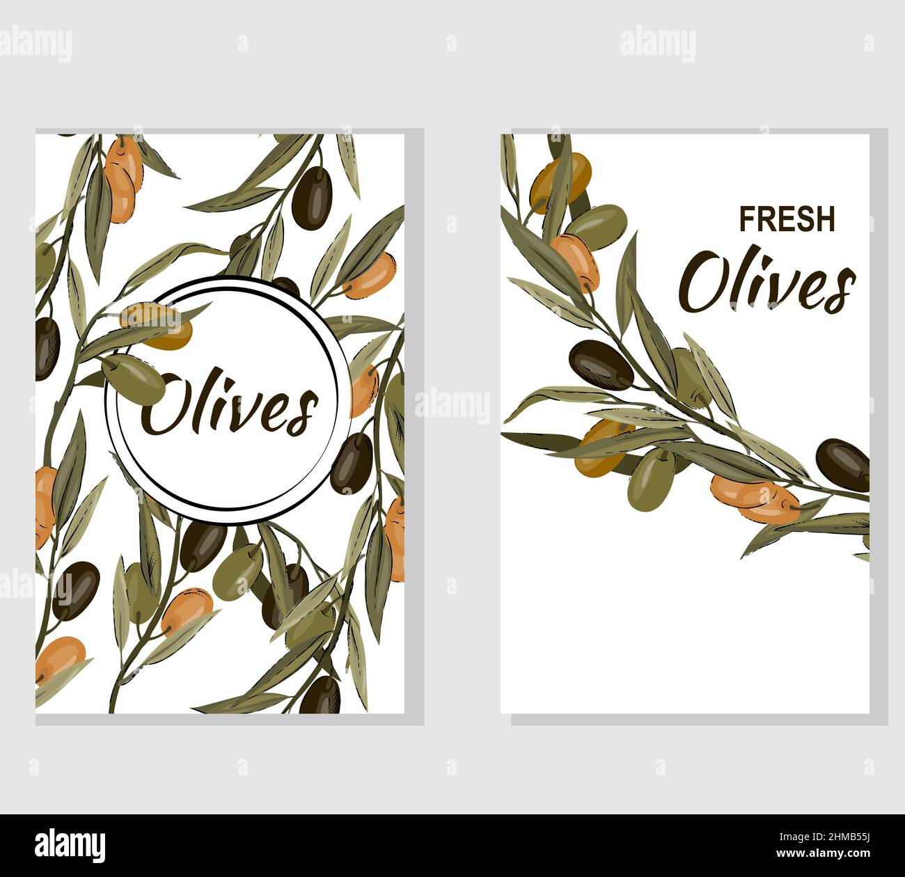 Olive backgrounds, banners or cards set of templates, vector ...