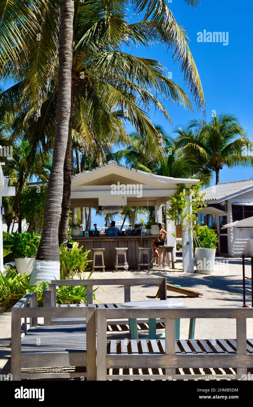 A tropical beach bar, with a bartender and 1 female tourist, at a beach ...