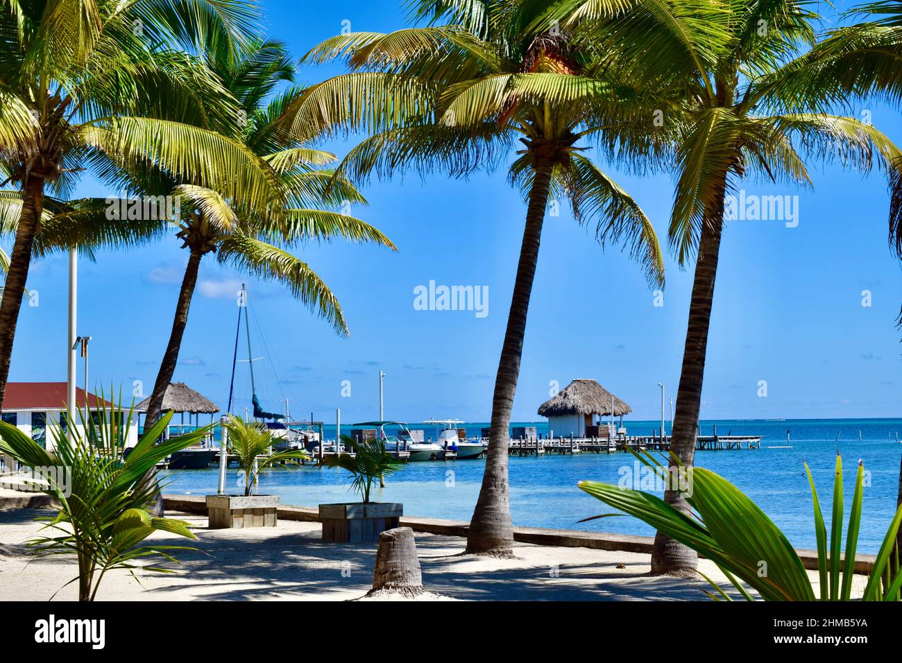 View from the beach of piers, boats, palapas, and buildings in San ...