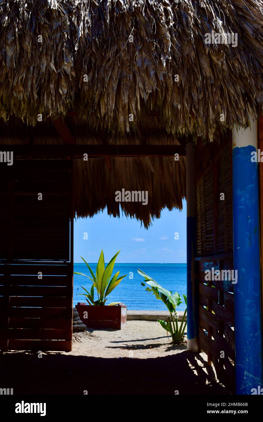 Thatch caye hi-res stock photography and images - Alamy