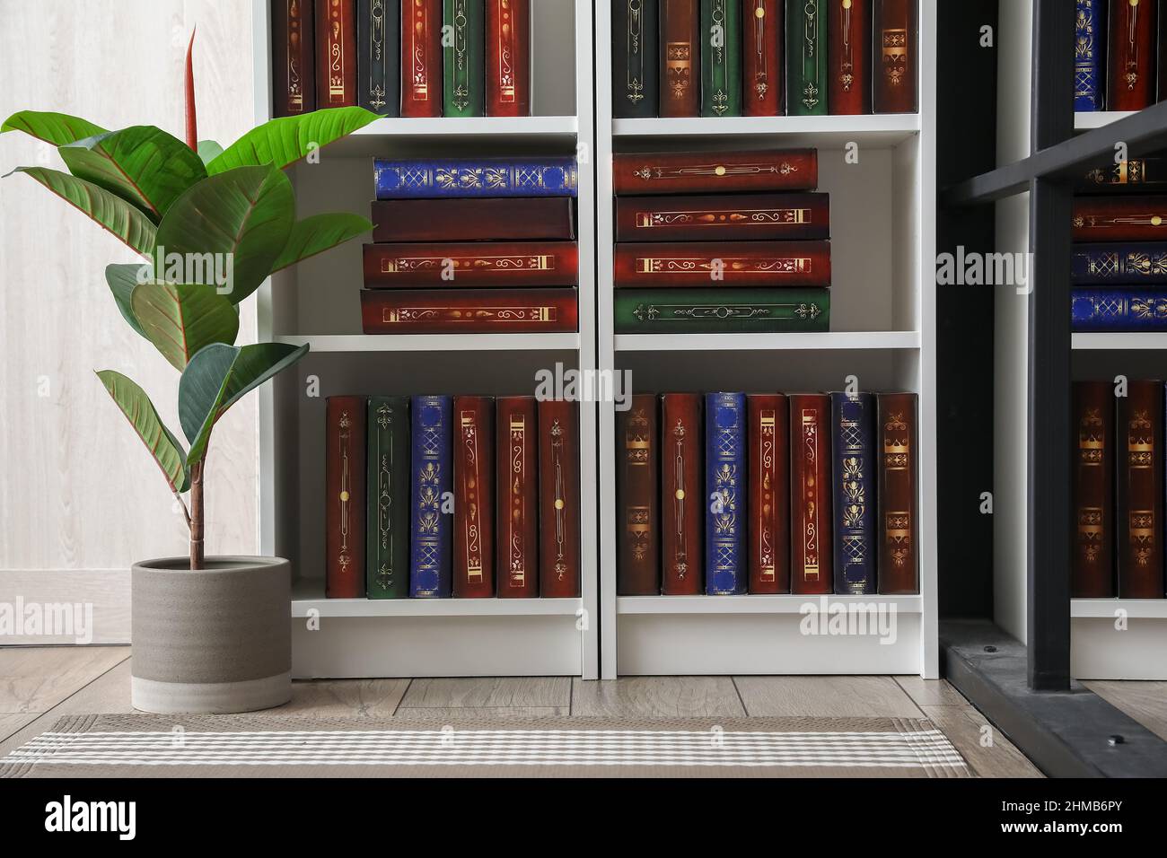 Shelf unit with books in home library Stock Photo - Alamy