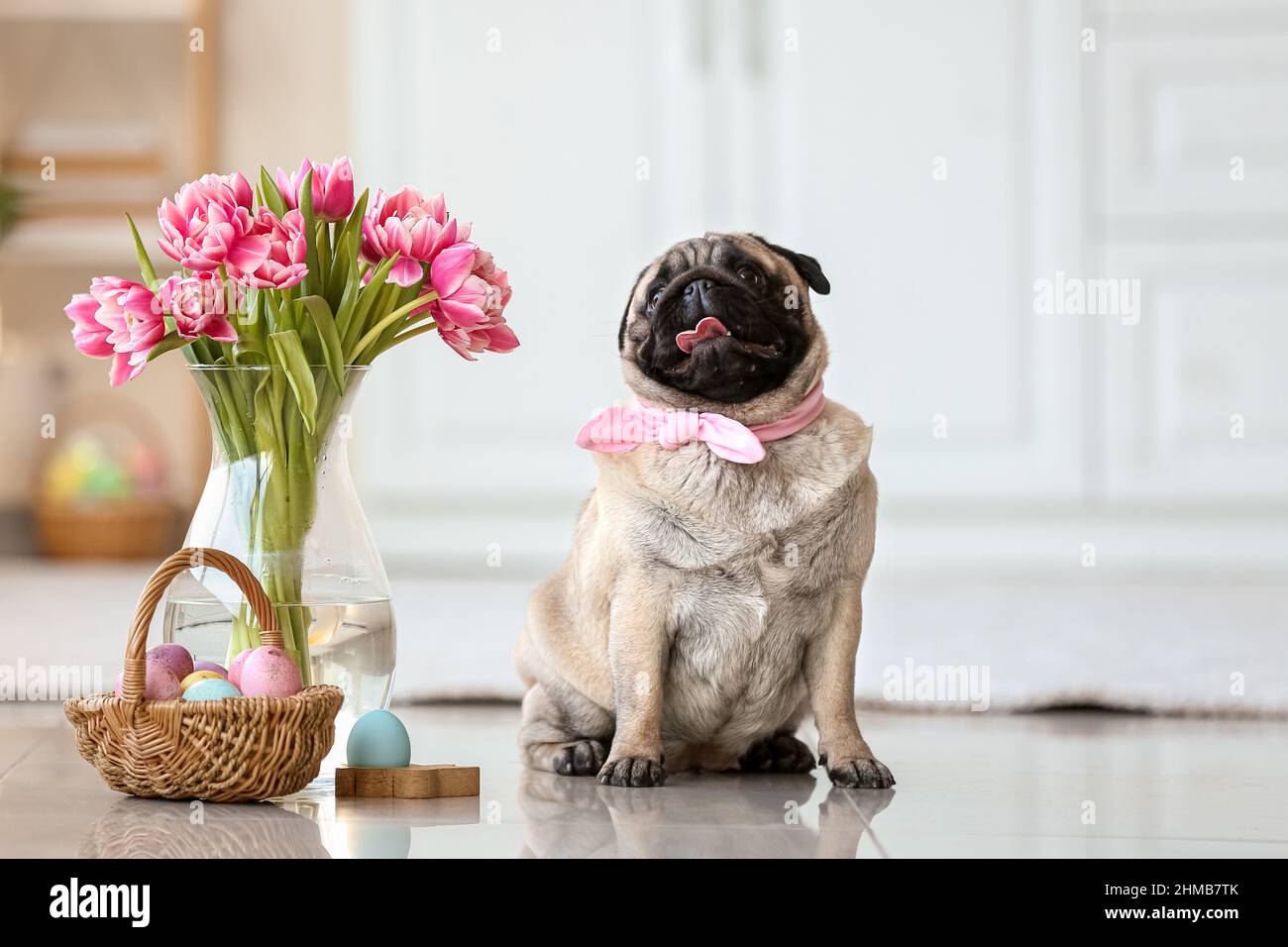 Funny pug dog with Easter eggs and bouquet of flowers in kitchen Stock ...
