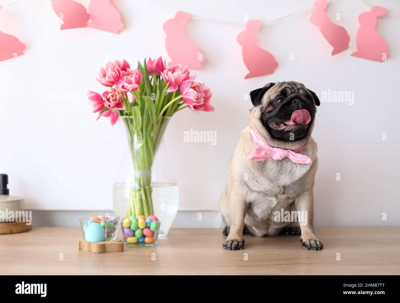 Funny pug dog with Easter eggs and bouquet of flowers in kitchen Stock ...