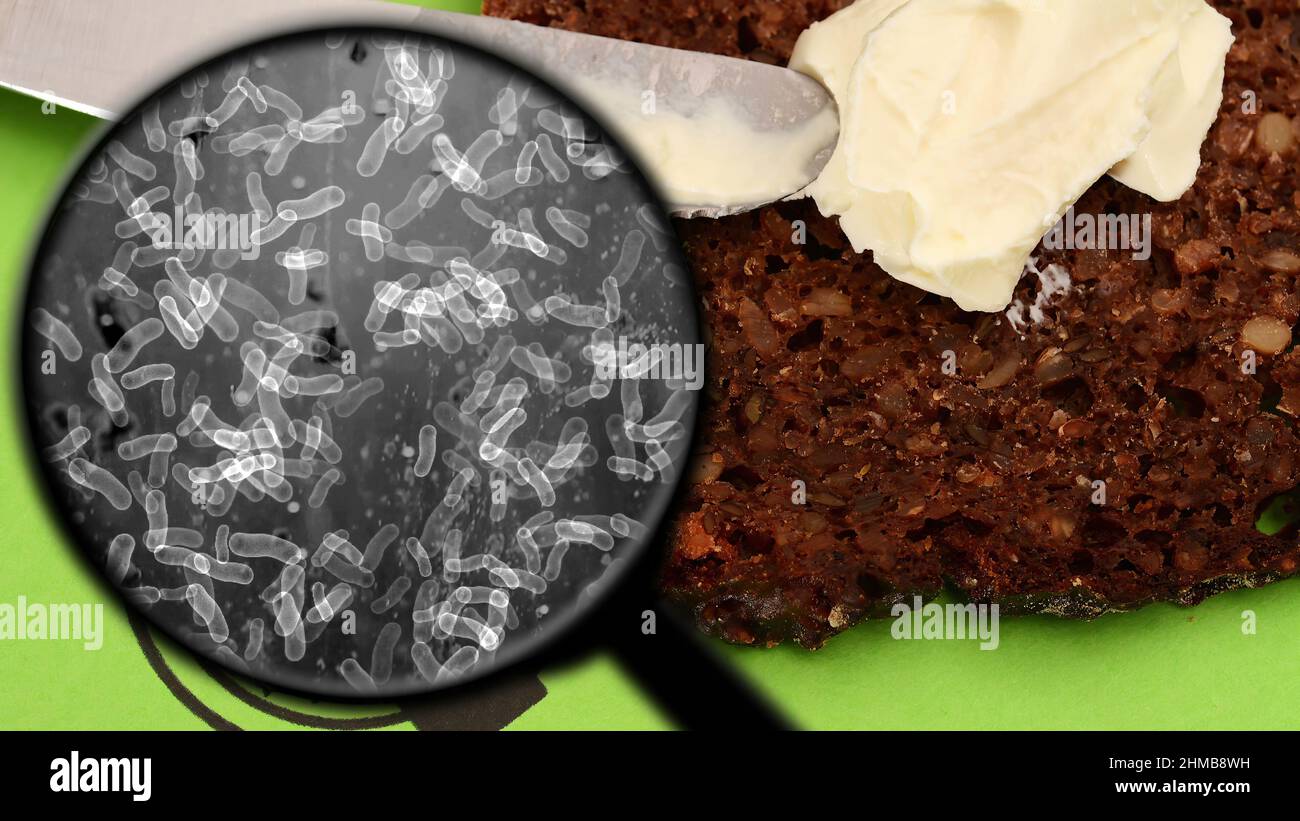 Searching for bacteria in bread Stock Photo - Alamy
