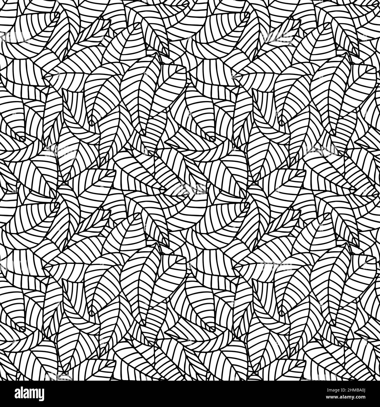 Hand Drawn Zentangle Pattern