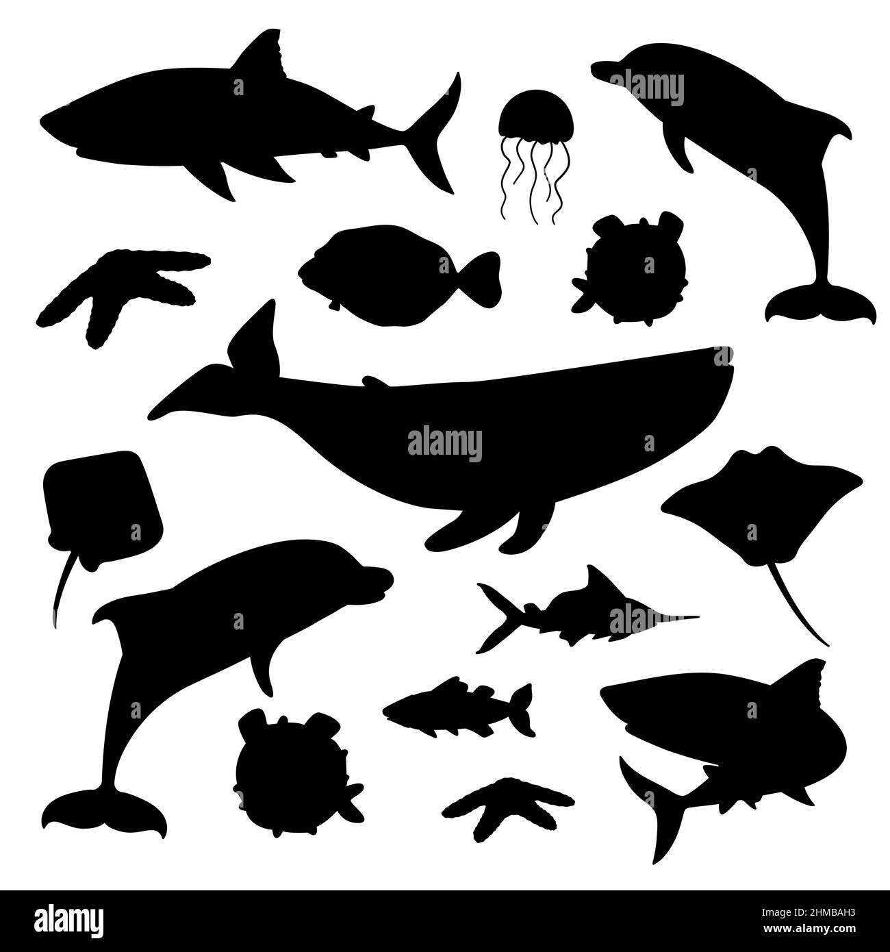Cartoon whale Black and White Stock Photos & Images - Alamy