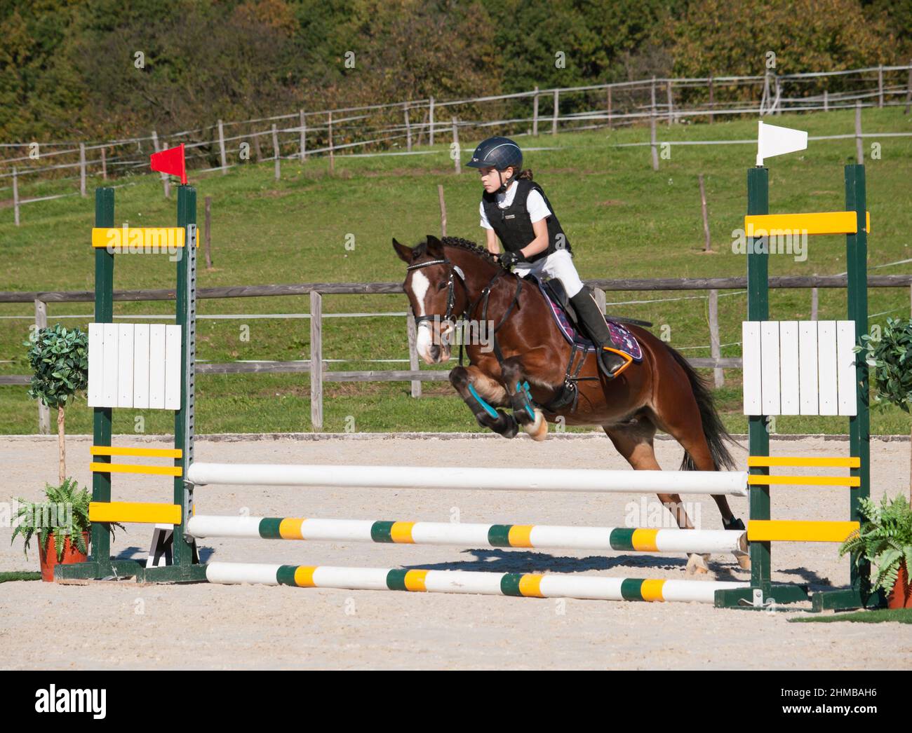 Girl and pony jumping over hurdle on showjumping competition Stock ...