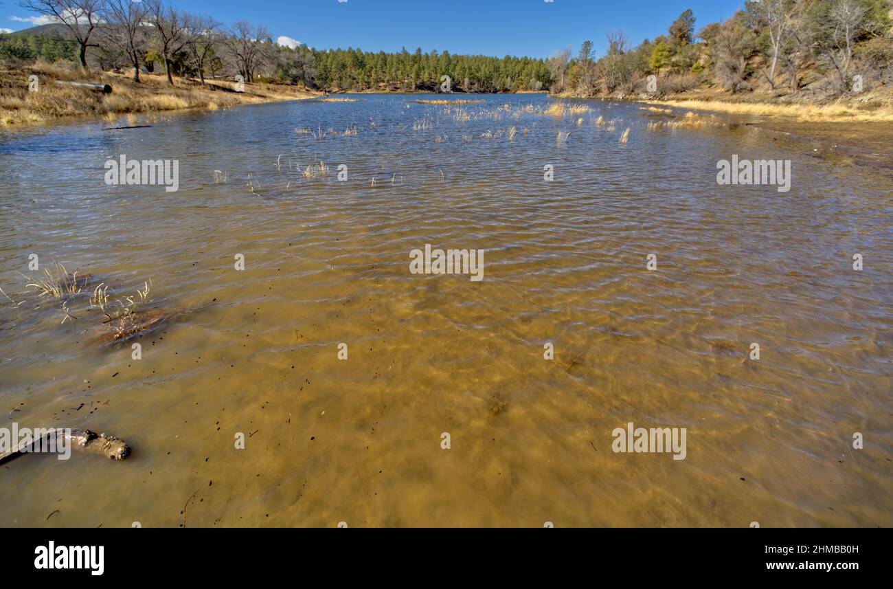 Lynx Lake Arizona viewed from the southeast bay Stock Photo - Alamy