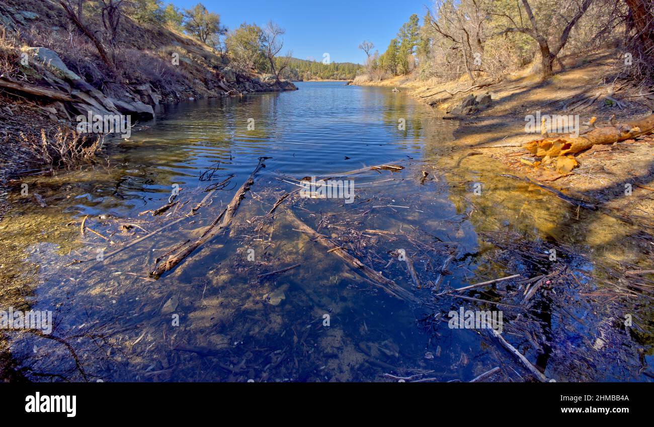 Lynx lake hi-res stock photography and images - Alamy