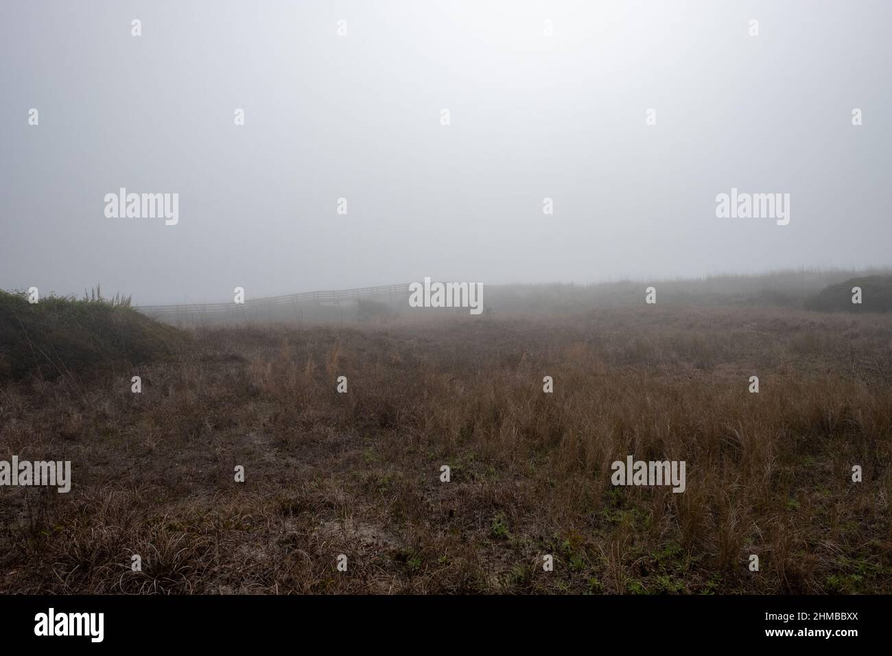 The brunswick coast north carolina hi-res stock photography and images ...