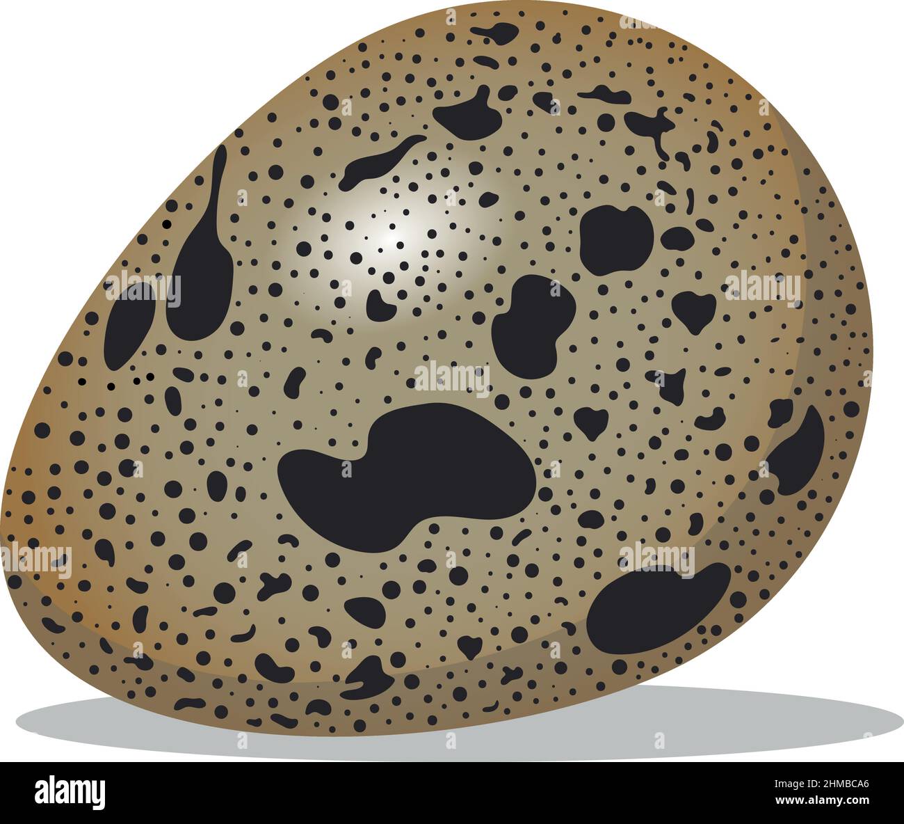 Egg of quail Stock Vector Images - Alamy