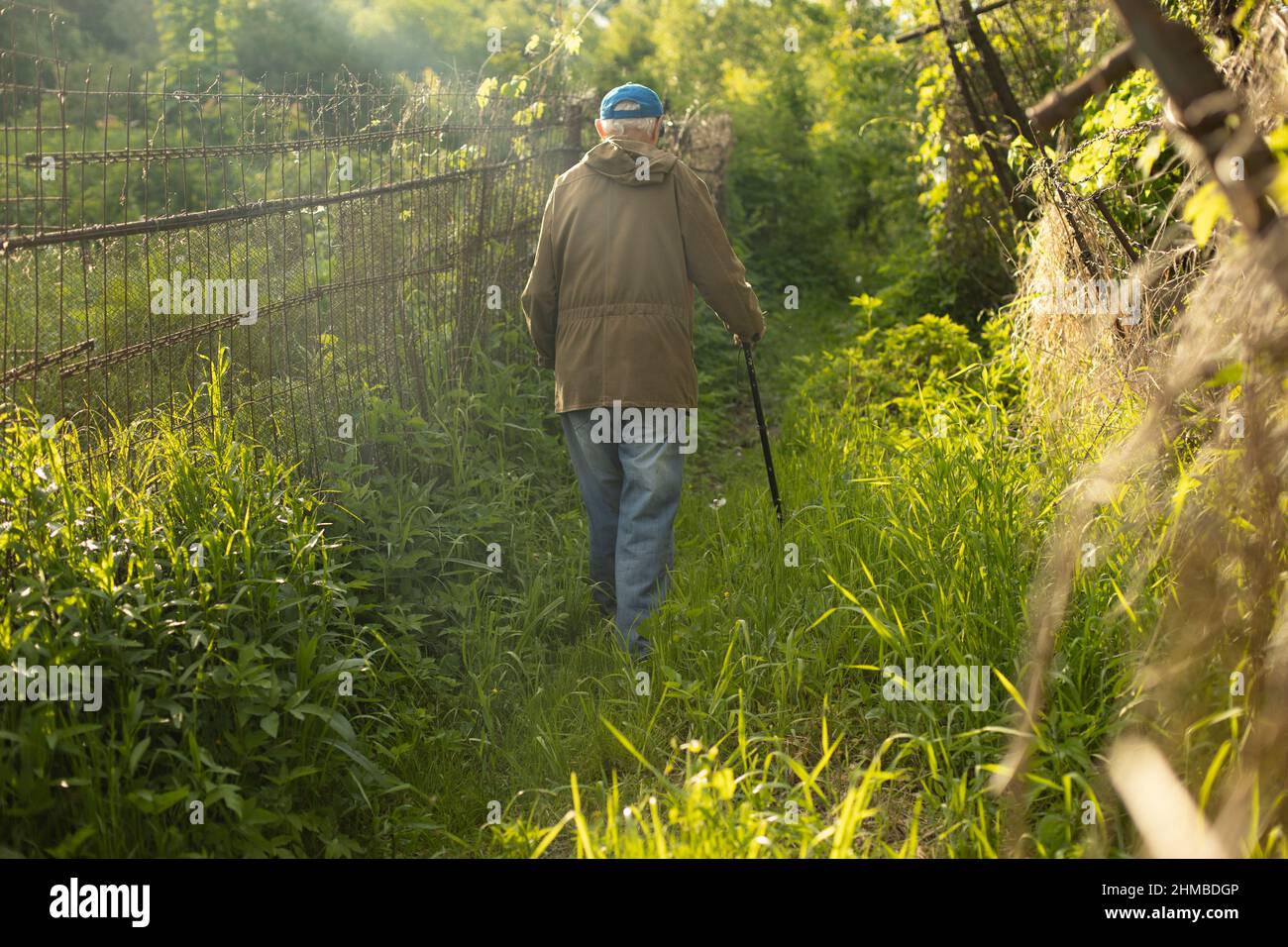 Old man in nature hi-res stock photography and images - Alamy