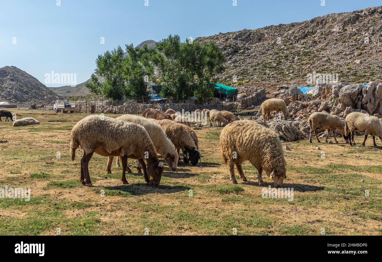 A country of stones, Taşeli Plateau. Taşeli Plateau is a karstic ...
