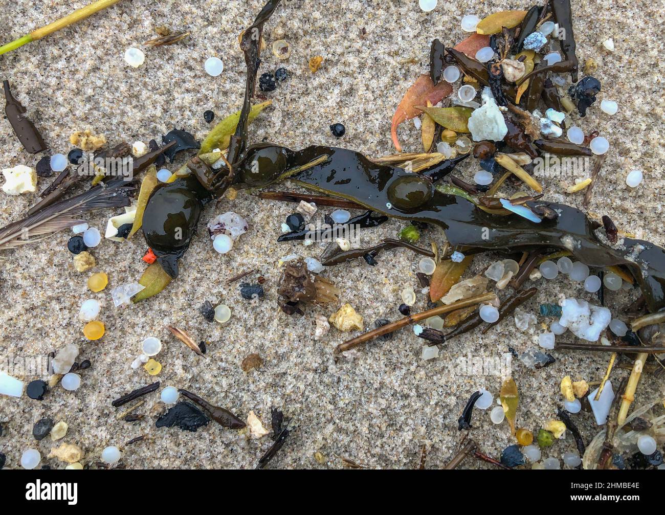 Agger, Denmark. 03rd Feb, 2022. Tiny plastic balls (microplastics ...