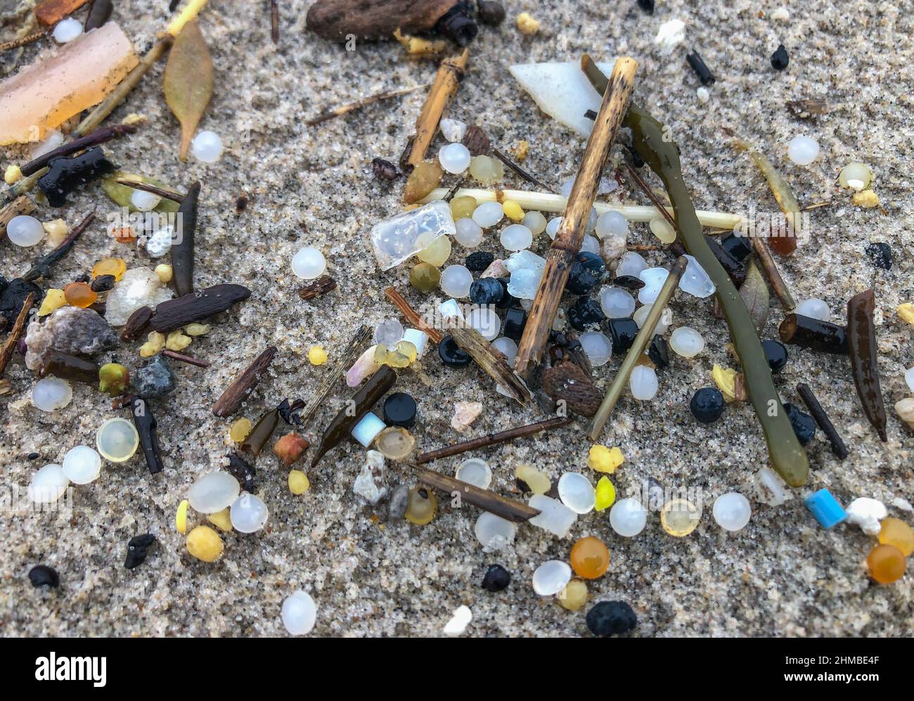 Agger, Denmark. 03rd Feb, 2022. Tiny plastic balls (microplastics ...
