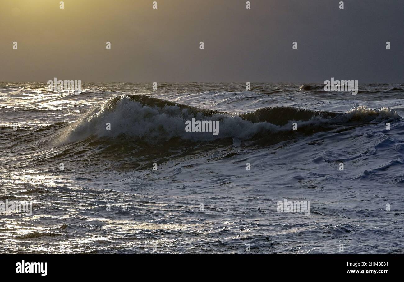 Agger, Denmark. 02nd Feb, 2022. Stormy surf of the North Sea at Thy ...