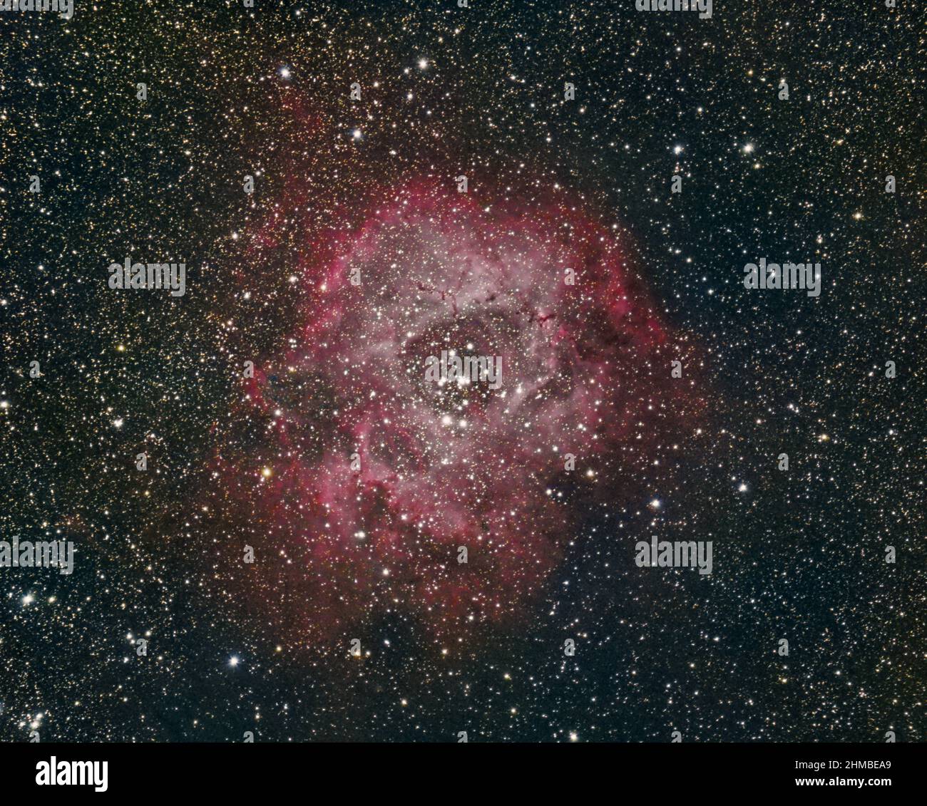 NGC 2244, aka Rosette nebula shot with personal telescope Stock Photo - Alamy